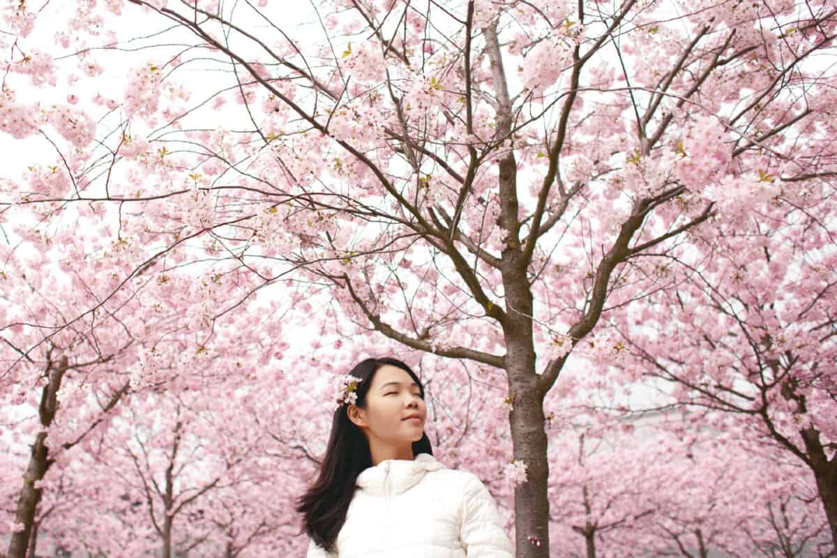 Unlocking Japanese Social Life: 13 Captivating Cultural Secrets