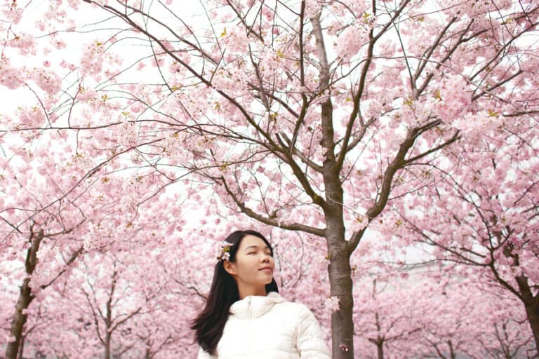 Unlocking Japanese Social Life: 13 Captivating Cultural Secrets