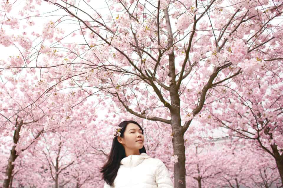 Unlocking Japanese Social Life: 13 Captivating Cultural Secrets