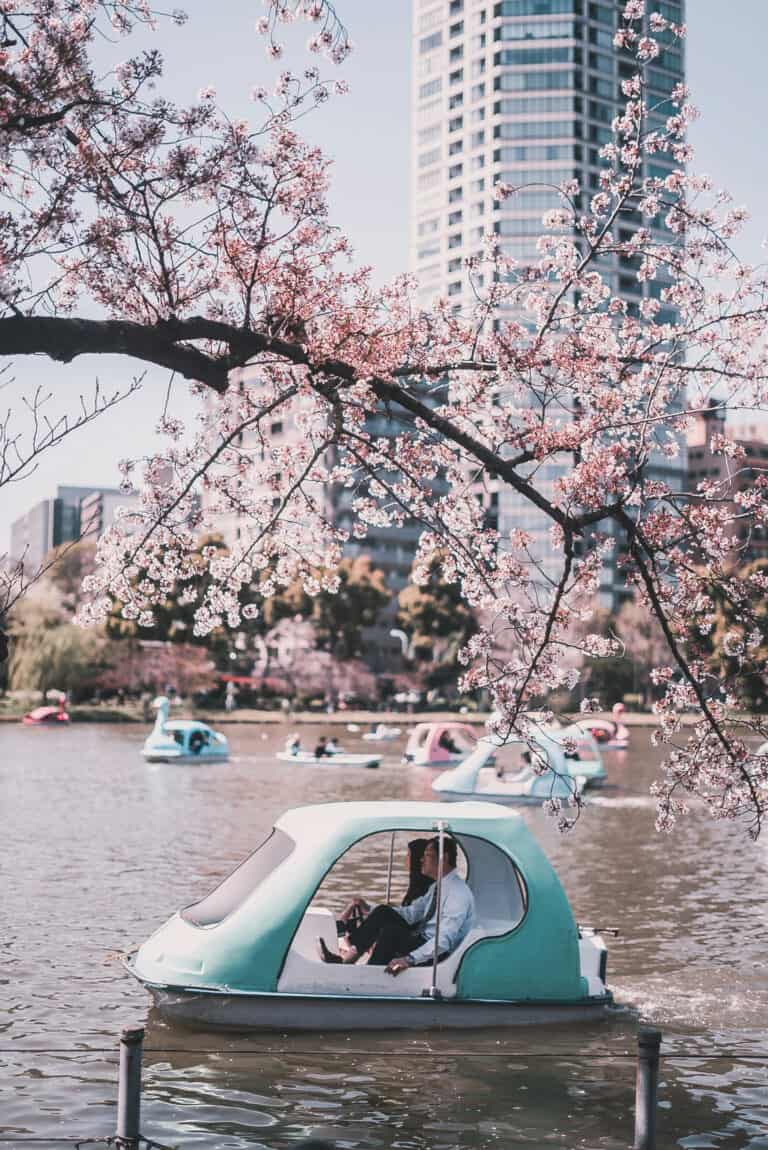 Unlocking Japanese Social Life: 13 Captivating Cultural Secrets