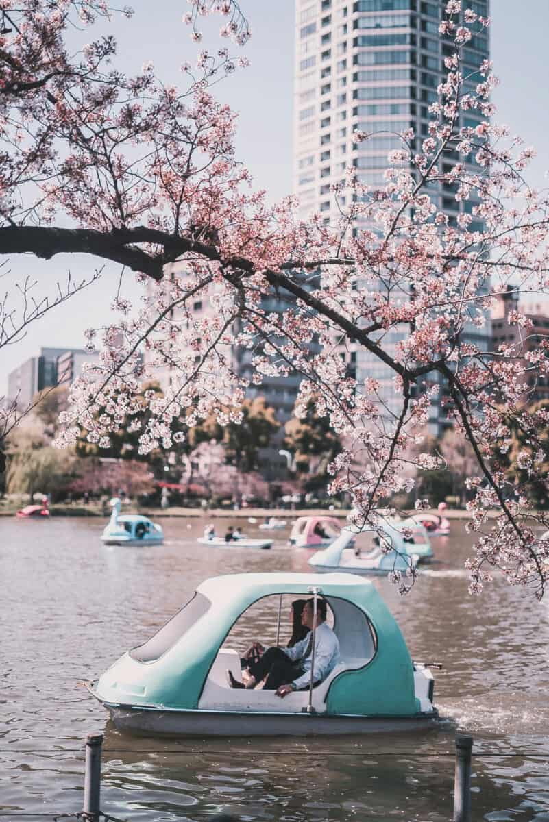 Unlocking Japanese Social Life: 13 Captivating Cultural Secrets