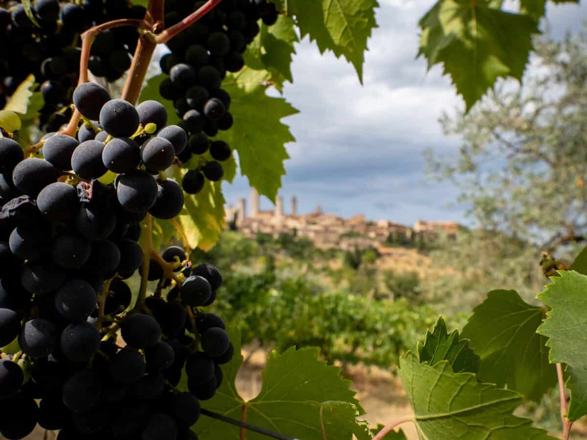 Slow Food: 8 Keys Of Savoring Each Moment In Italian Culture