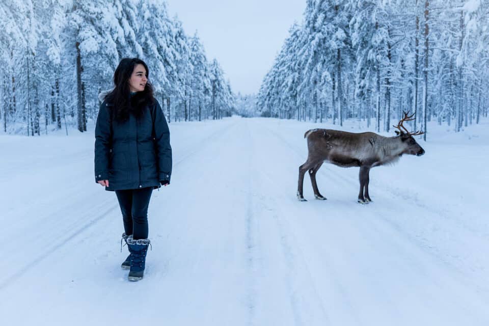 Finnish Culture: 9 Unique Traditions And Lifestyles - Civilisable