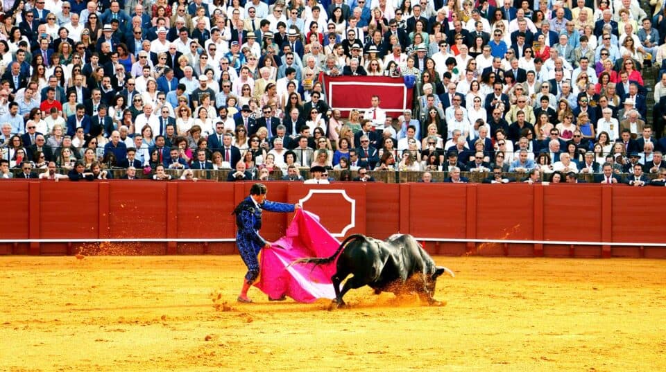 Sports In Spain: Top 12 Athletic Pursuits