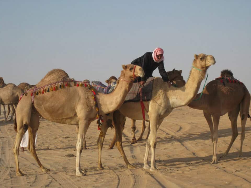 Sports In The UAE: 6 Fascinating Insights Into Athletic Culture