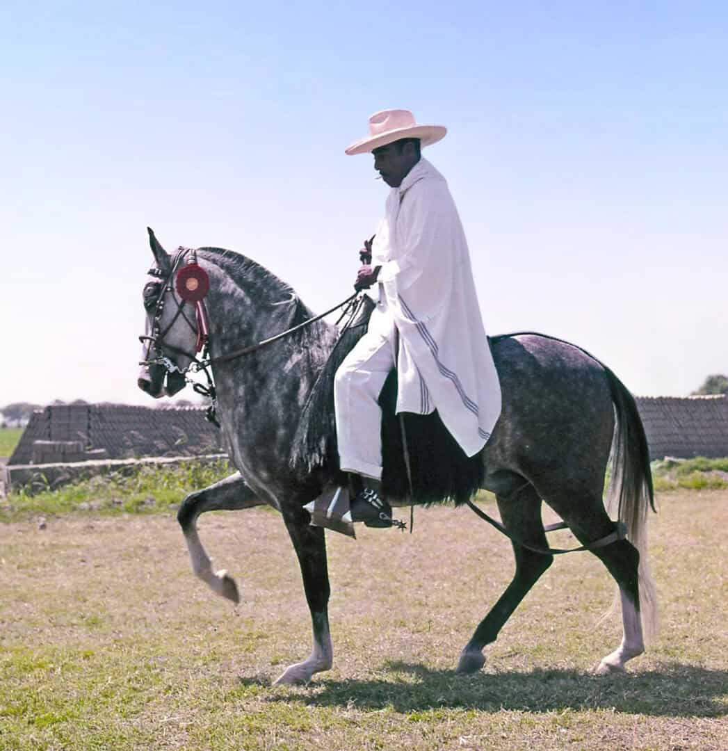 Sports In Peru: 5 Fascinating Insights Into Athletic Culture