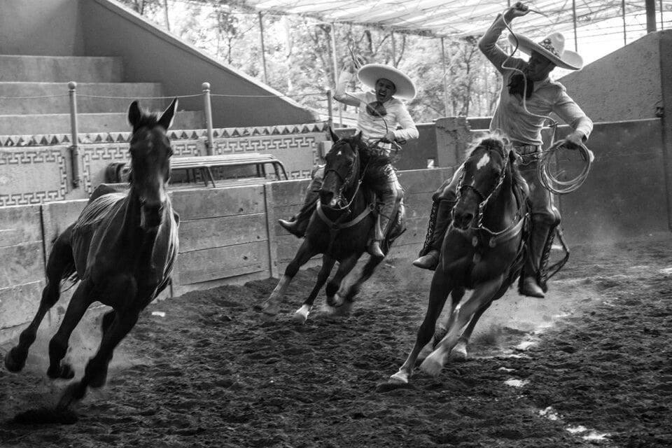 Sports In Mexico: 5 Fascinating Insights Into Athletic Culture