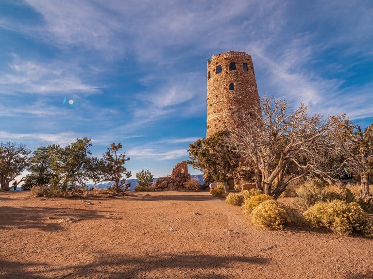 Desert Architecture: 5 Notable Insights