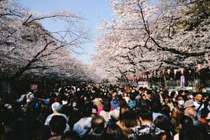 National Cherry Blossom Festival: 6 Essential Highlights To Celebrate ...