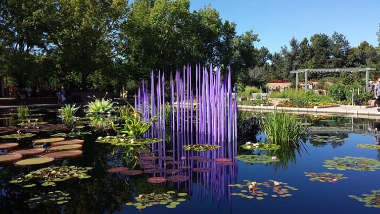 Best Things To Do In Denver, Colorado : 7 Must See Places