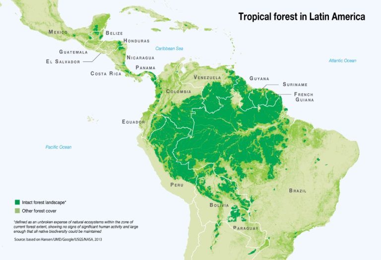 Which Two Languages Are Most Commonly Spoken In Latin America?